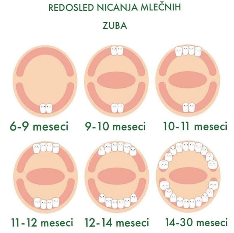 Kada niču mlečni zubi? – MEDENTINA DIGITAL